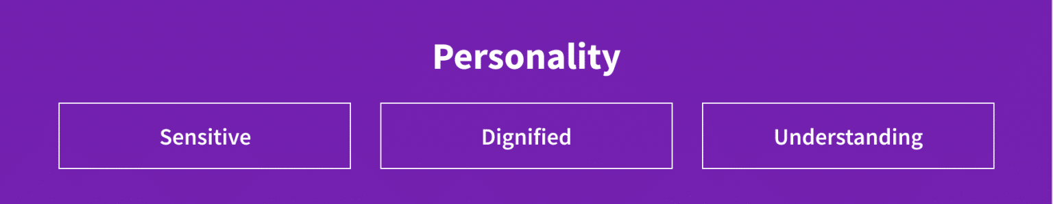 Top 10 colors to increase sales and build a powerful brand