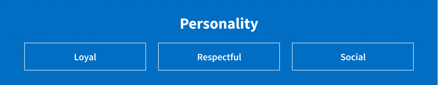 Top 10 colors to increase sales and build a powerful brand